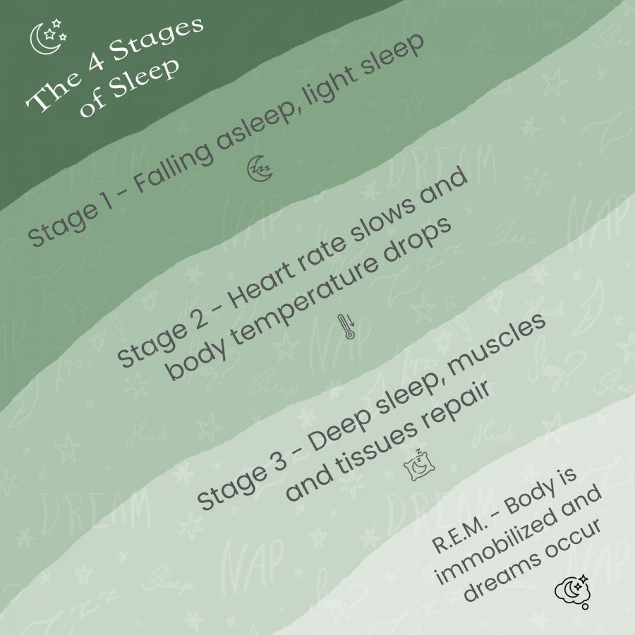 Sleep 101: The 4 Stages Of Sleep – Bedroom Affairs®